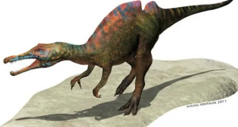 ichthyovenator