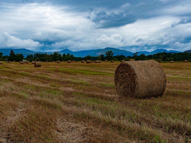 A haystack | Smithsonian Photo Contest | Smithsonian Magazine