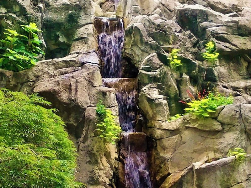 Galilee Baptism | Smithsonian Photo Contest | Smithsonian Magazine