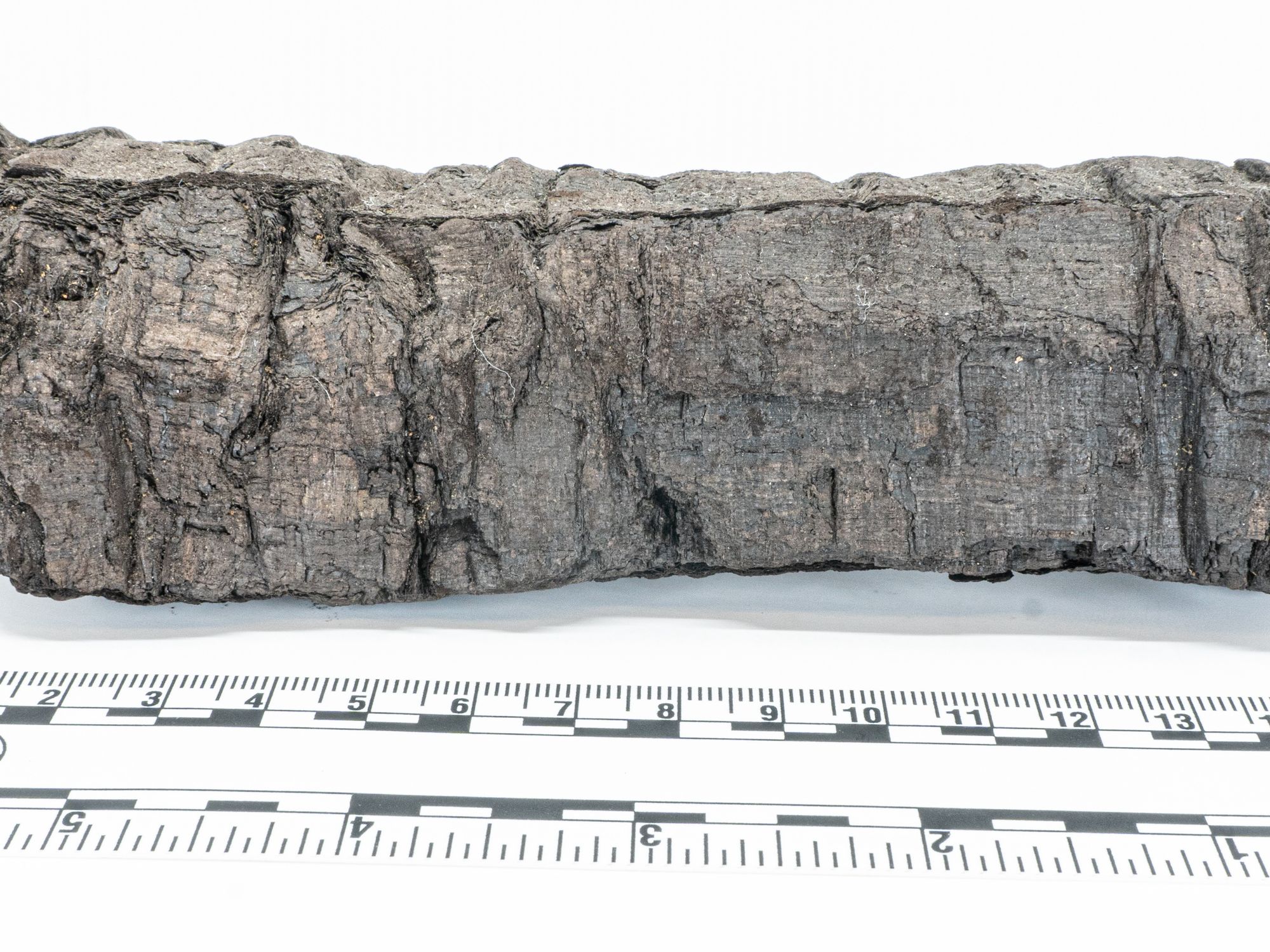 Using A.I., Researchers Peer Inside a 2,000-Year-Old Scroll Charred by ...