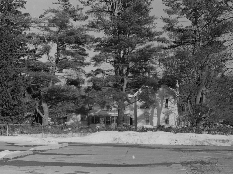 House behind the trees | Smithsonian Photo Contest | Smithsonian Magazine