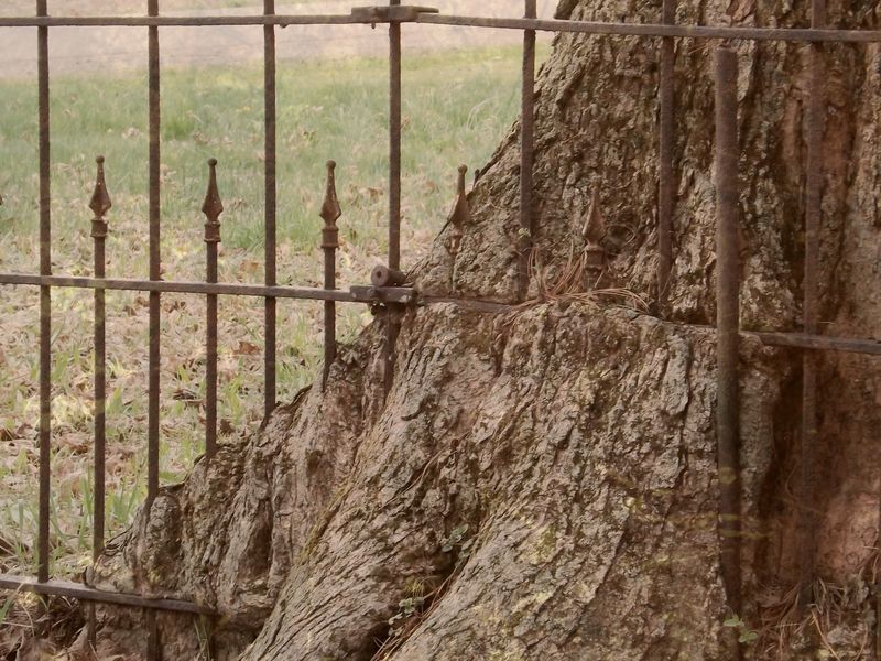 Nature's Gate | Smithsonian Photo Contest | Smithsonian Magazine