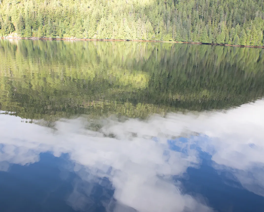 reflection | Smithsonian Photo Contest | Smithsonian Magazine