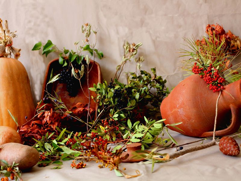 dead nature | Smithsonian Photo Contest | Smithsonian Magazine