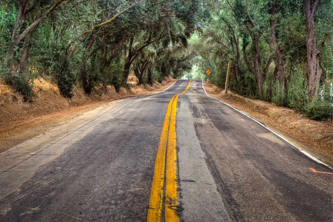 A shot of an old country road lined with green trees. | Smithsonian ...