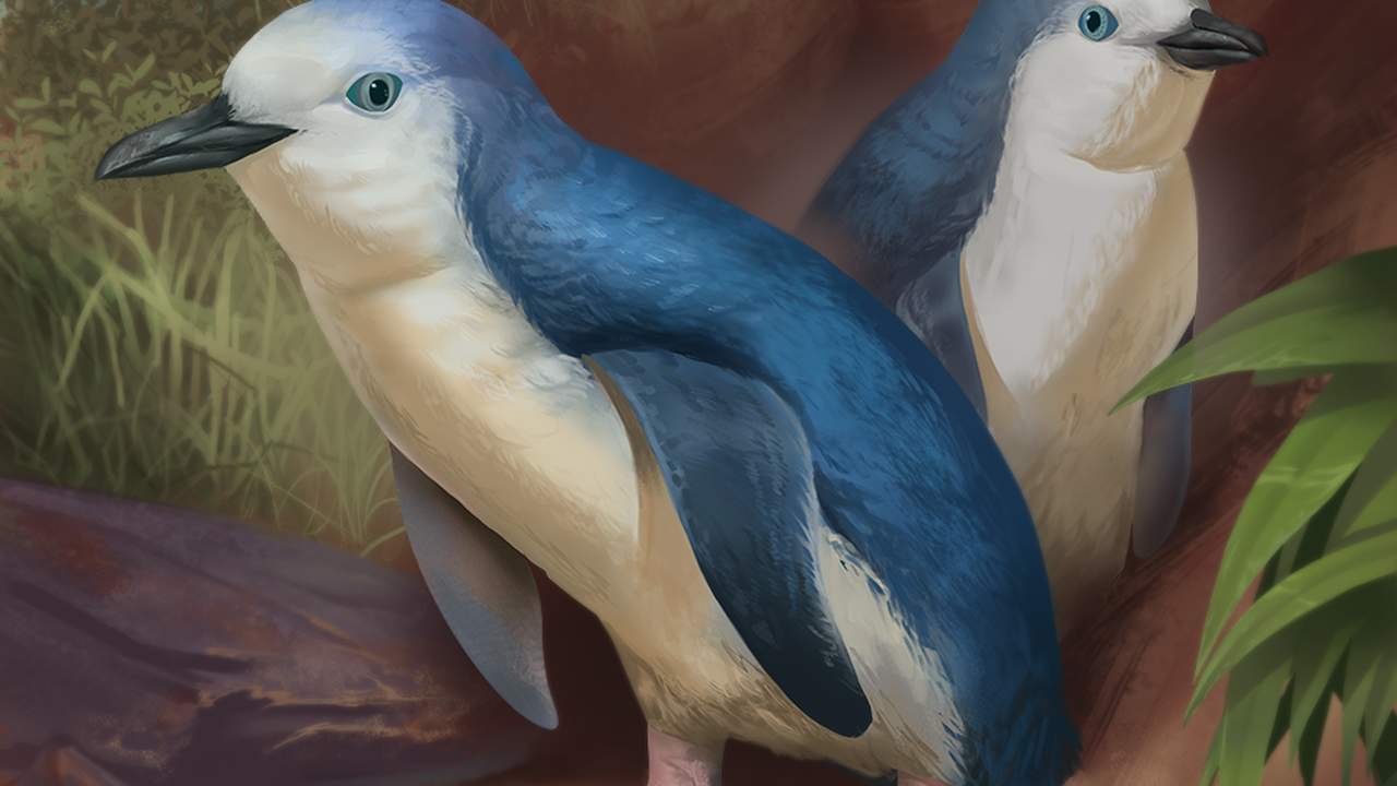 tiny tweeties penguin