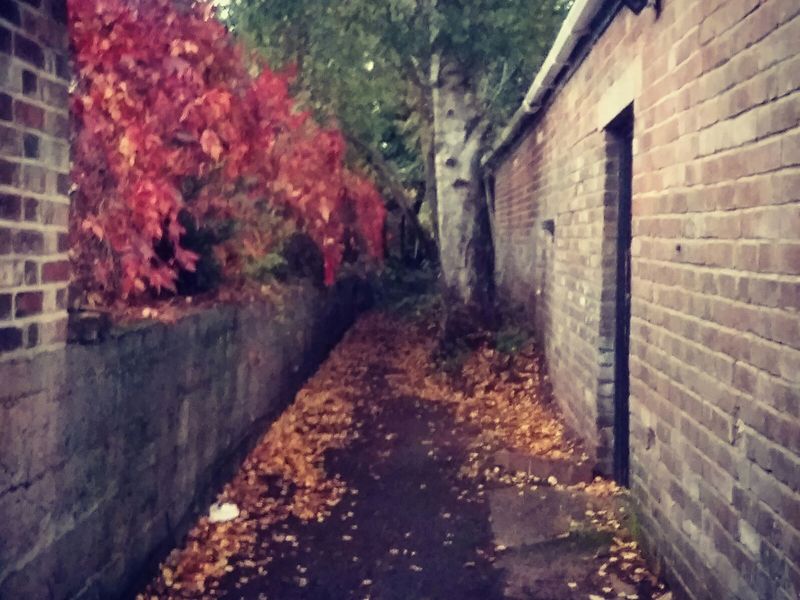 Secret Alley | Smithsonian Photo Contest | Smithsonian Magazine