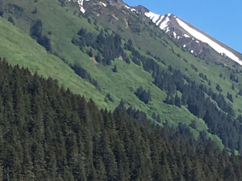 Nanwalek, AK | Smithsonian Photo Contest | Smithsonian Magazine