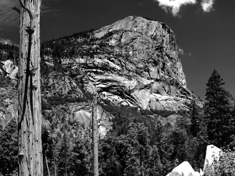 Good Old Yosemite | Smithsonian Photo Contest | Smithsonian Magazine