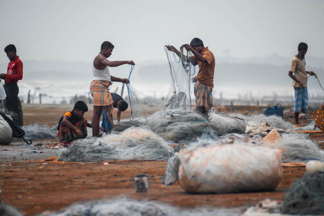 Struggle for survive | Smithsonian Photo Contest | Smithsonian Magazine