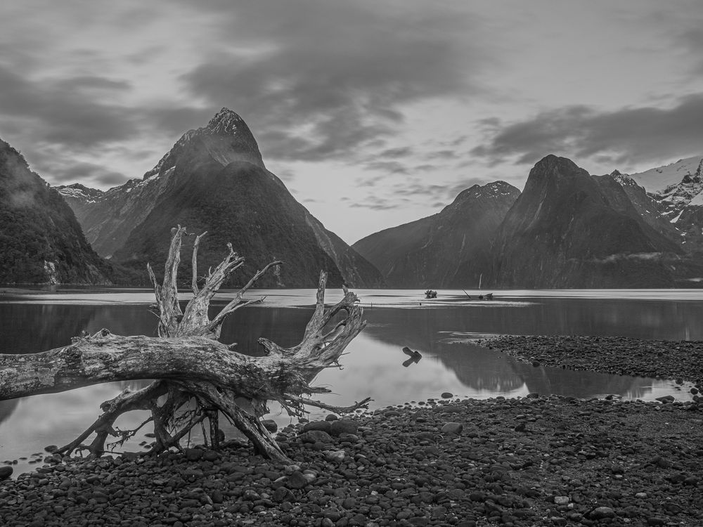 Monotone Milford Sound | Smithsonian Photo Contest | Smithsonian Magazine
