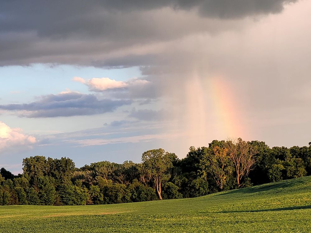 While driving and missing some spotty heavy rain noticed what looked ...