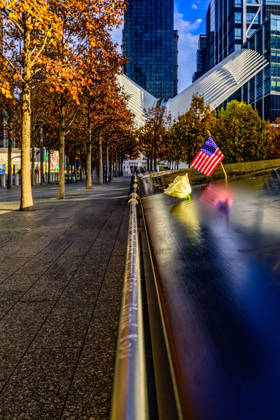 White Rose and 911 Memorial | Smithsonian Photo Contest | Smithsonian ...