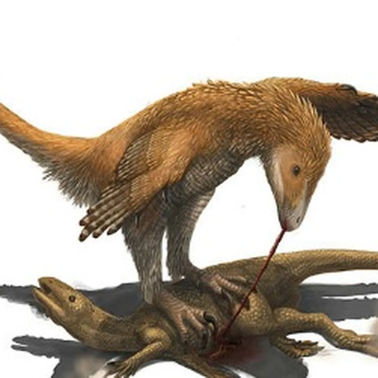 Deinonychus Dinosaur Tog Christie's To Sell A Dinosaur That Inspired