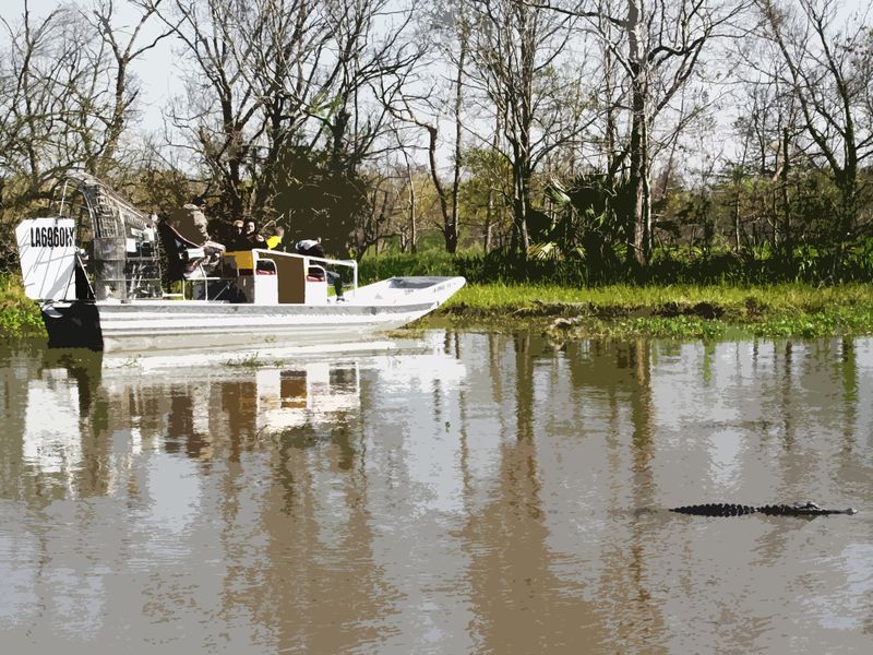 On our fan boat tour in the Louisiana bayou I snapped this photo of a ...