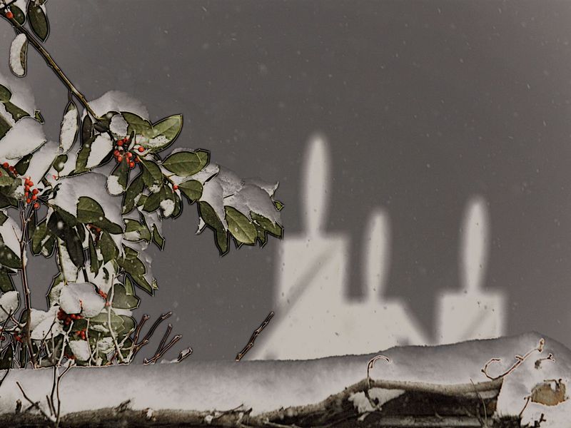 Snow Ghosts | Smithsonian Photo Contest | Smithsonian Magazine