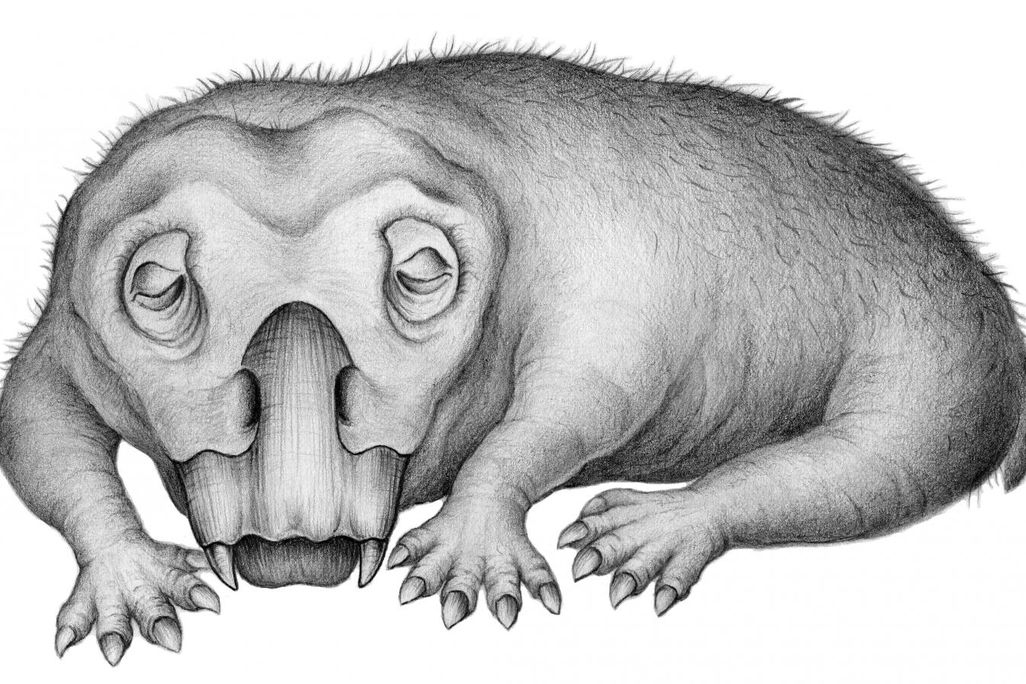 lystrosaurus continents