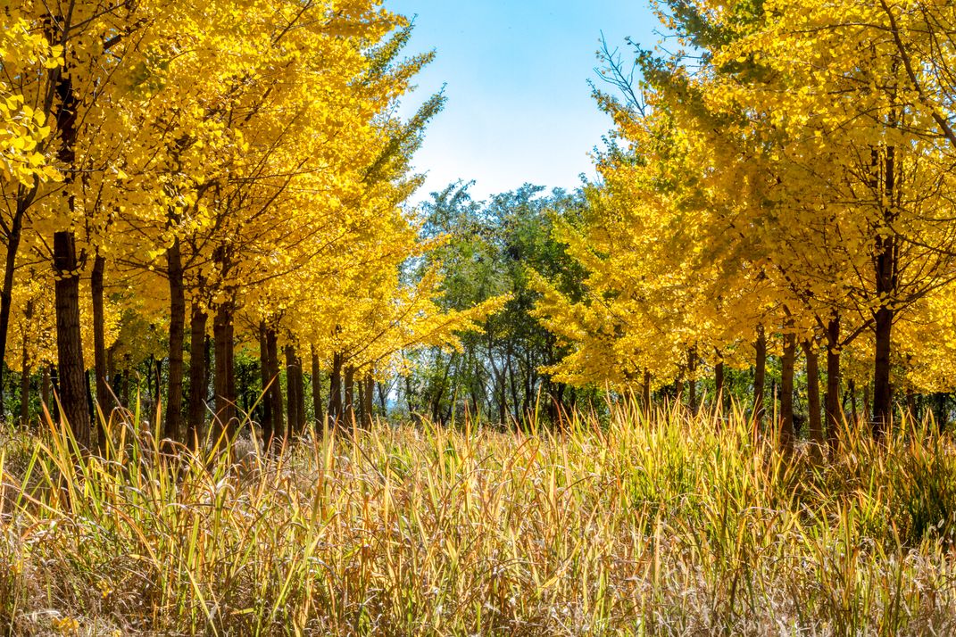 Autumn Colors | Smithsonian Photo Contest | Smithsonian Magazine