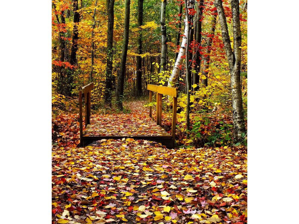 Best Autumn Photographs from the Last Ten Years of Photo Contests