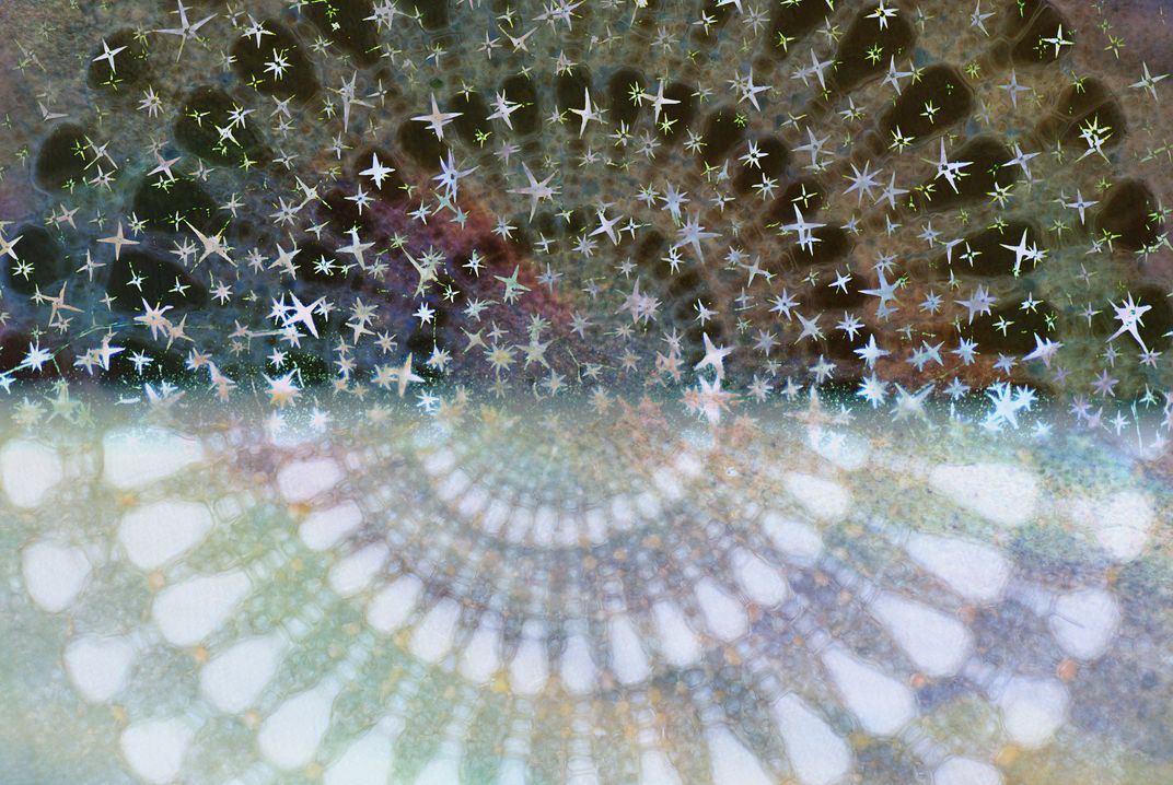 Starry Starry Night - Merged polarised light microscope images of ...