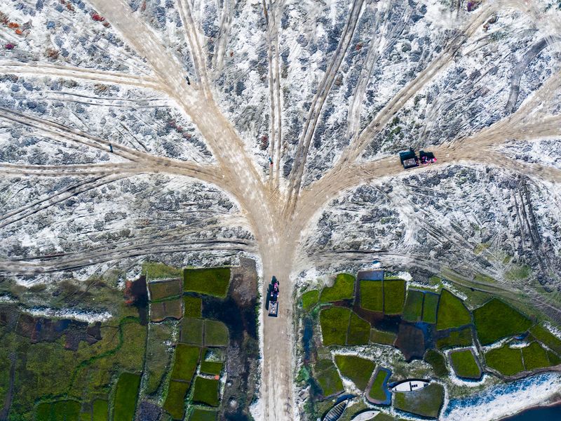 Mother Tree | Smithsonian Photo Contest | Smithsonian Magazine