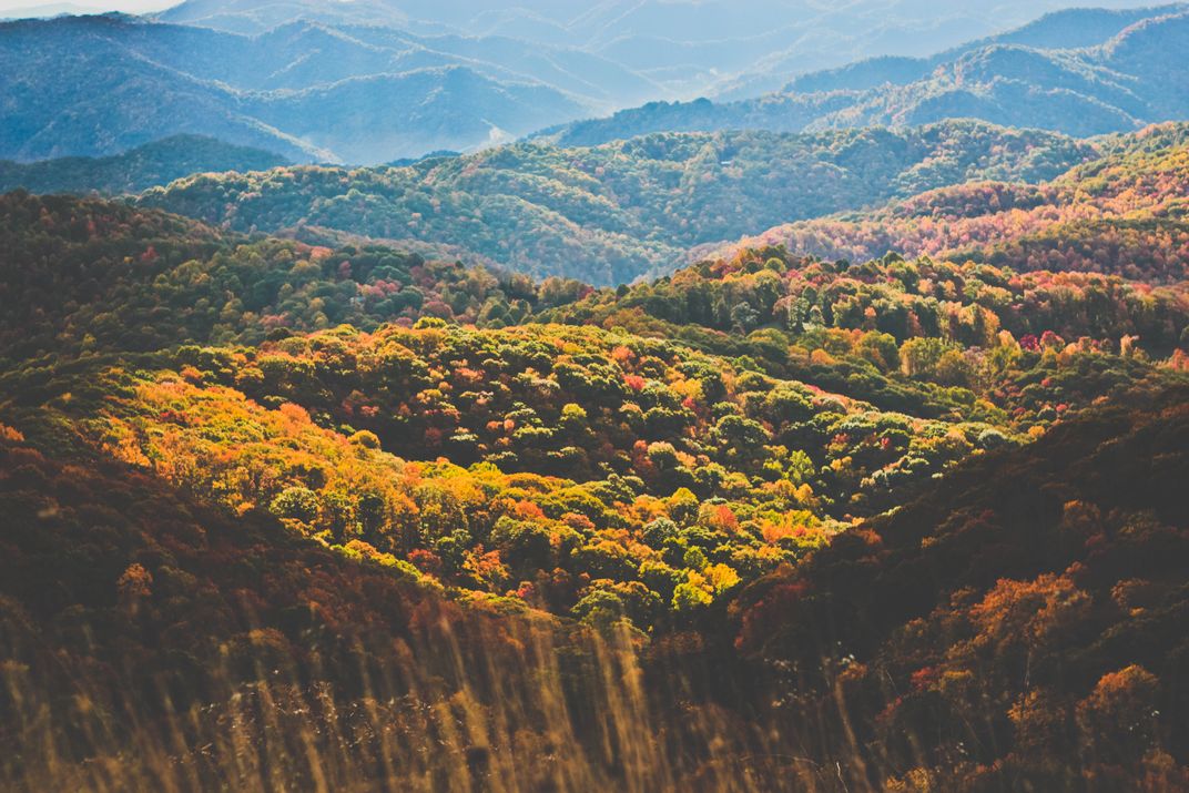 The Infinite Appalachian Mountains | Smithsonian Photo Contest ...