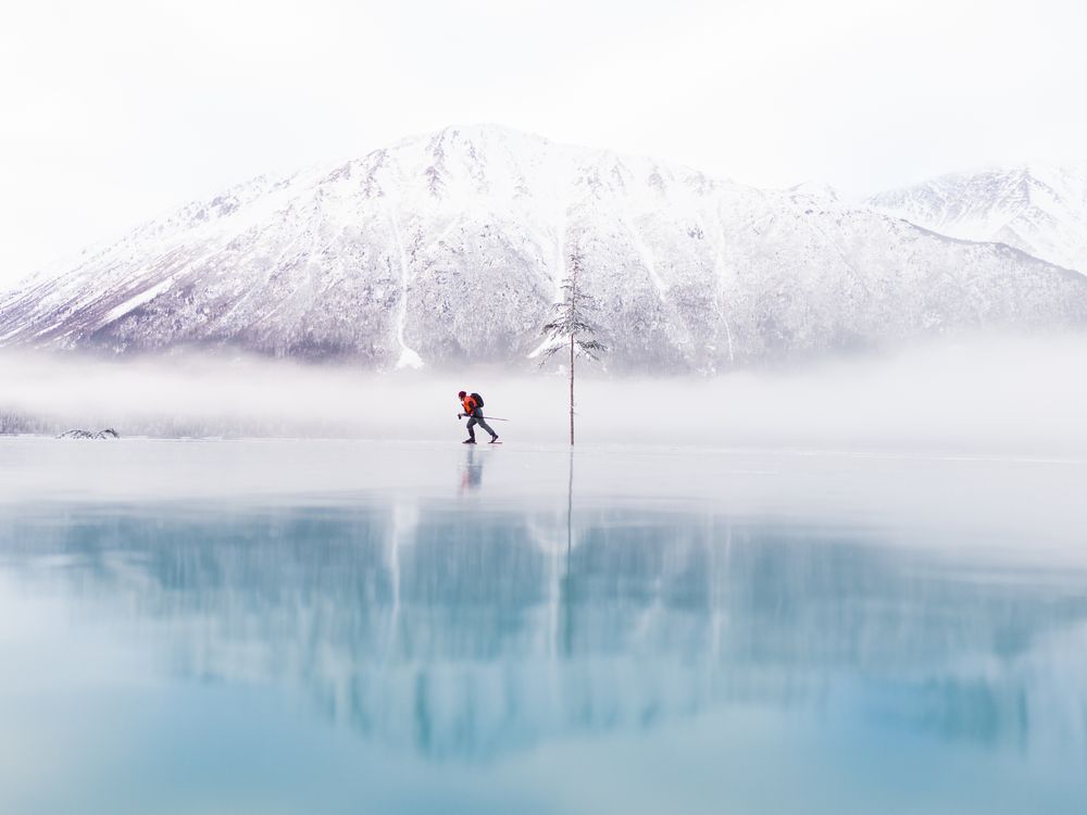 Skating past a lone tree on Kenai Lake, Alaska. | Smithsonian Photo ...
