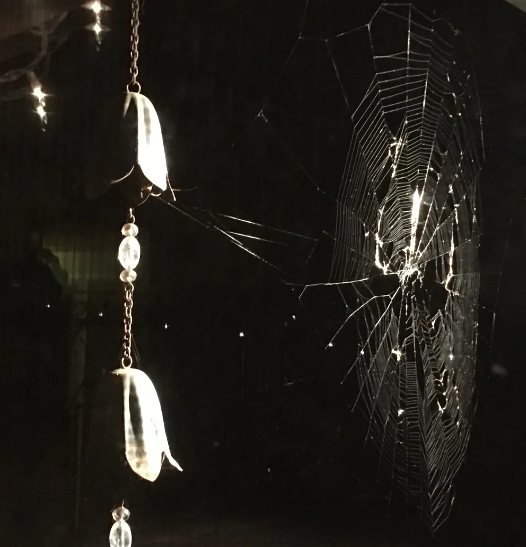 Spider Web and Bells | Smithsonian Photo Contest | Smithsonian Magazine