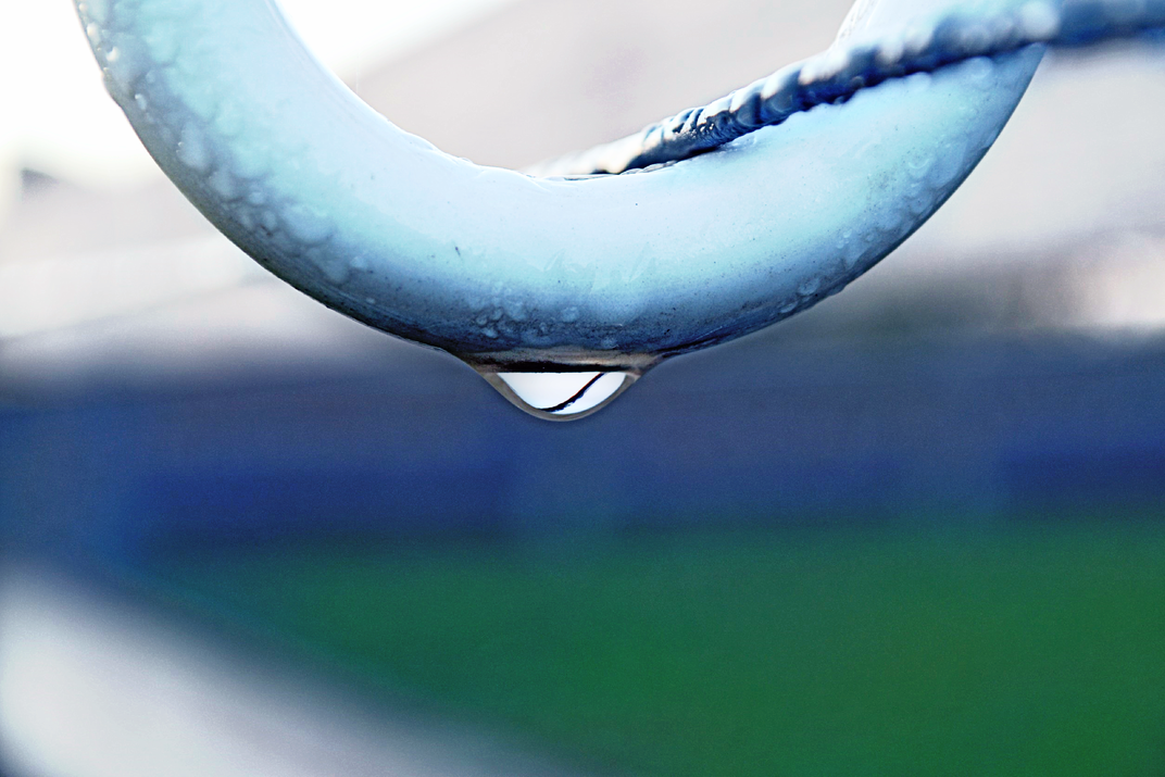Hanging Dew Drop | Smithsonian Photo Contest | Smithsonian Magazine