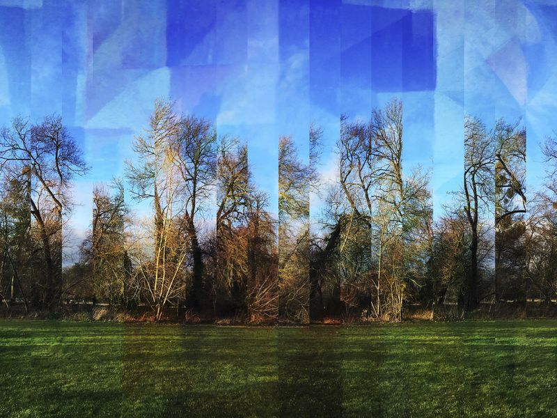 Autumn Trees | Smithsonian Photo Contest | Smithsonian Magazine