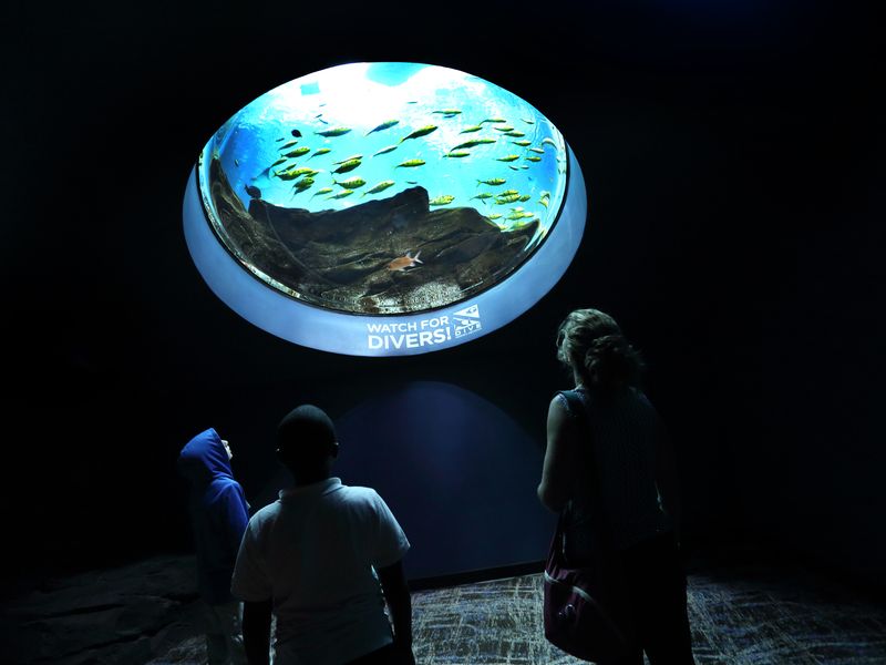 Aquarium | Smithsonian Photo Contest | Smithsonian Magazine