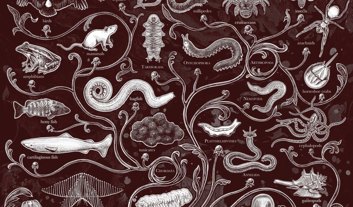 Smithsonian Books Blog | Smithsonian Magazine