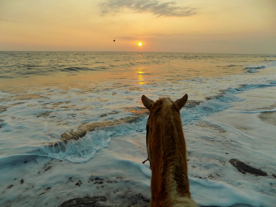 Horseback ride at sunset | Smithsonian Photo Contest | Smithsonian Magazine