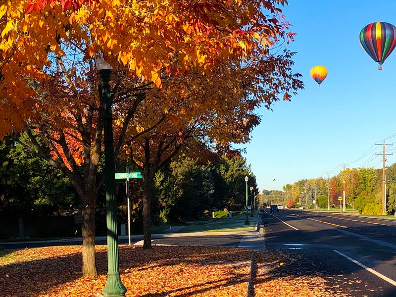 Chasing balloons | Smithsonian Photo Contest | Smithsonian Magazine
