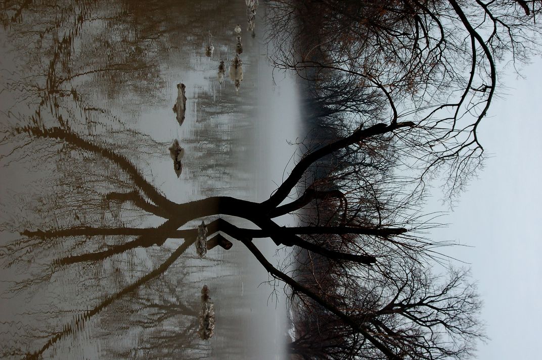 February Melt | Smithsonian Photo Contest | Smithsonian Magazine