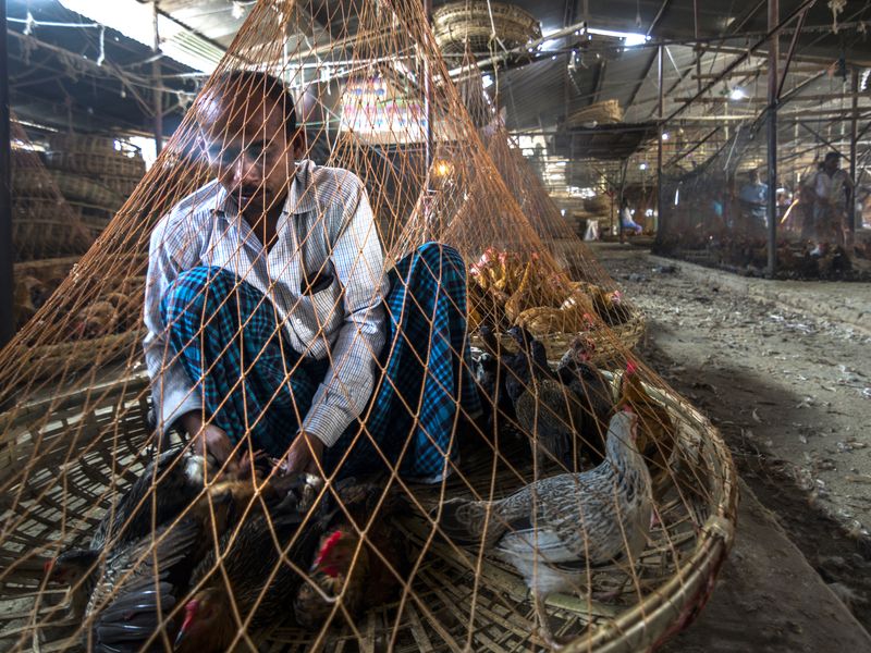 Life in a cage | Smithsonian Photo Contest | Smithsonian Magazine