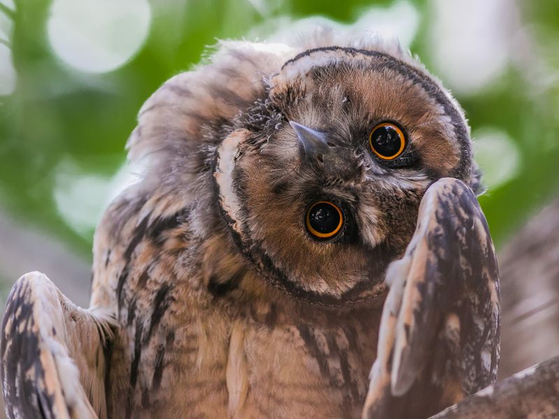 Head turning | Smithsonian Photo Contest | Smithsonian Magazine