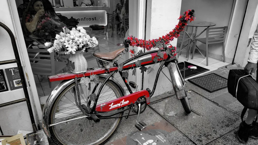 Smithsonian Magazine Daily Newsletter