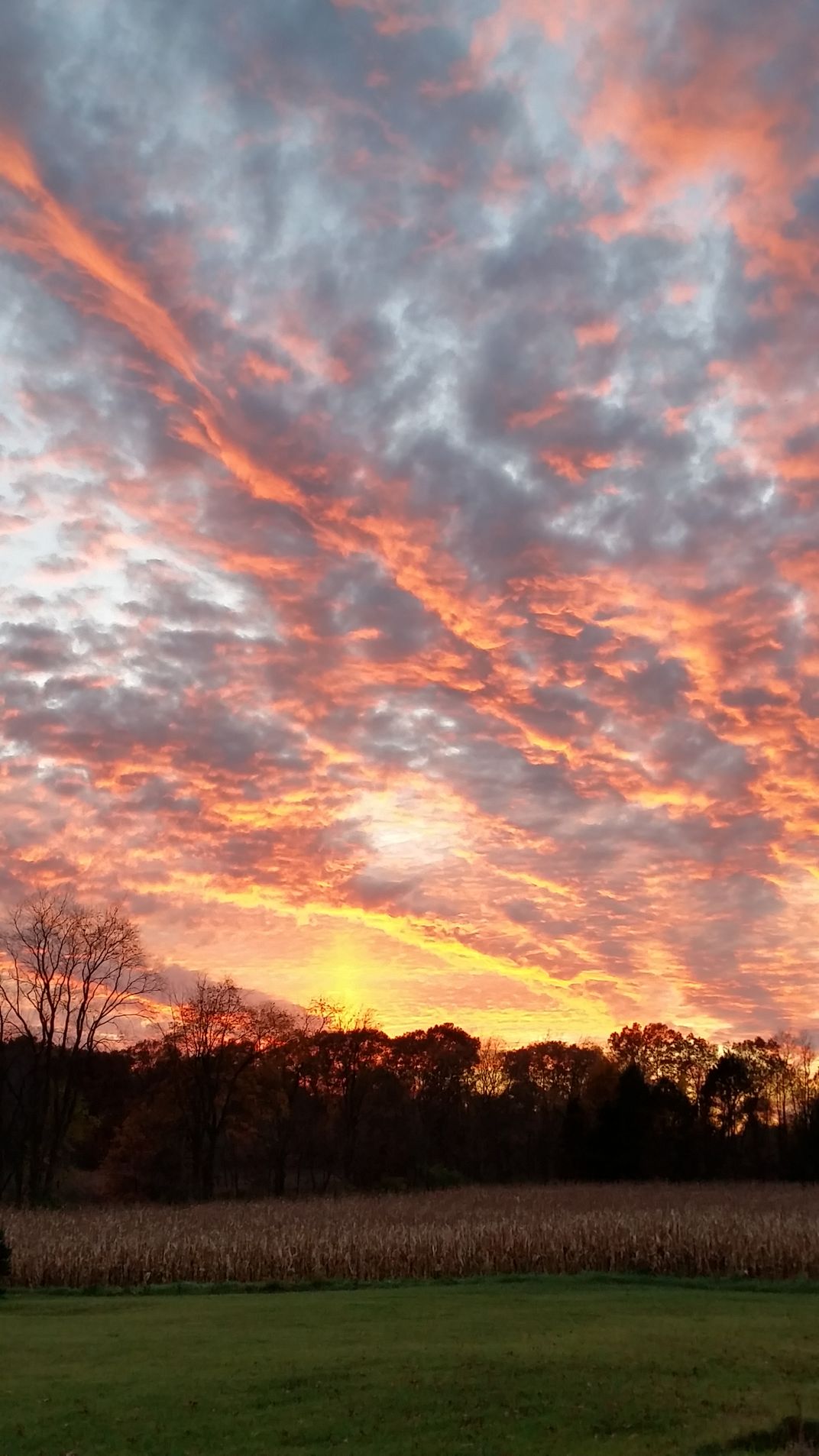 Life's Simple Moments | Smithsonian Photo Contest | Smithsonian Magazine