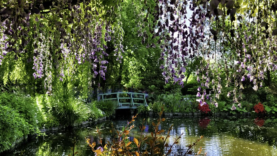 Monet's pond | Smithsonian Photo Contest | Smithsonian Magazine