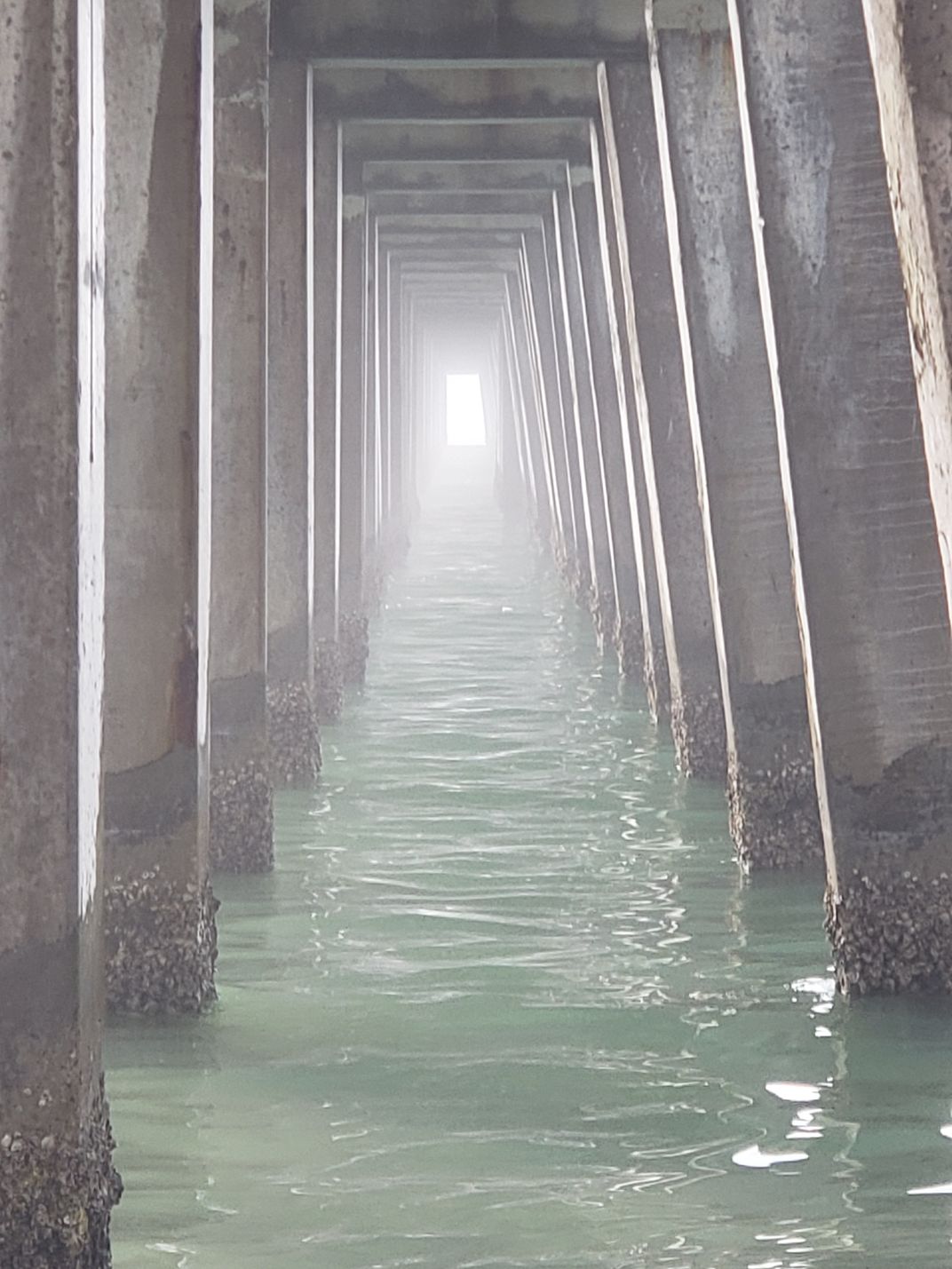 Sea fog Gulf of mexico Naples Beach Pier | Smithsonian Photo Contest ...