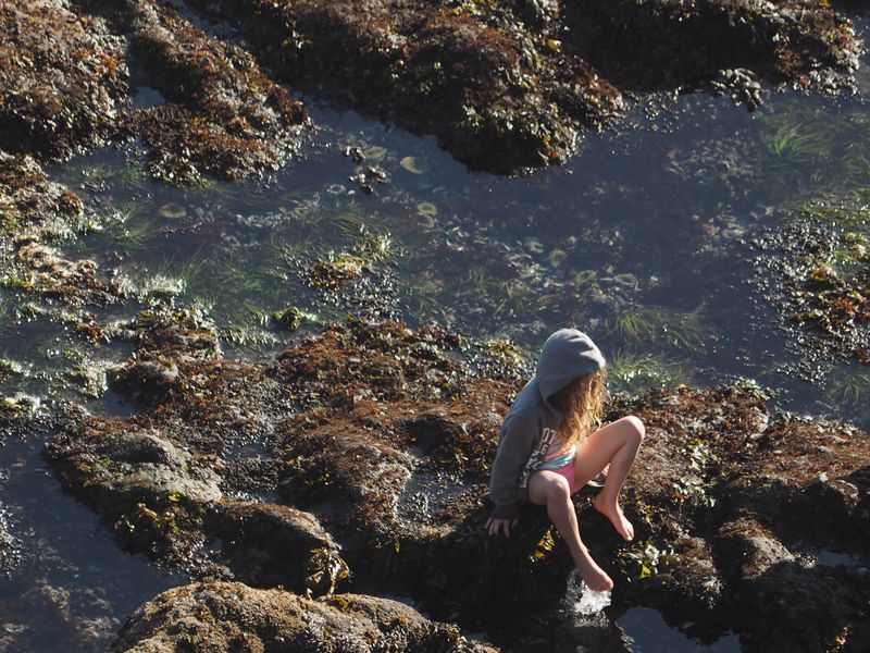 Exploring tide pools | Smithsonian Photo Contest | Smithsonian Magazine