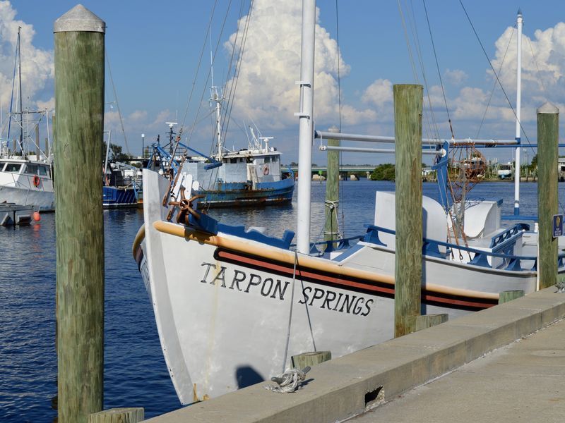 The Sponge Docks At Tarpon Springs | Smithsonian Photo Contest ...
