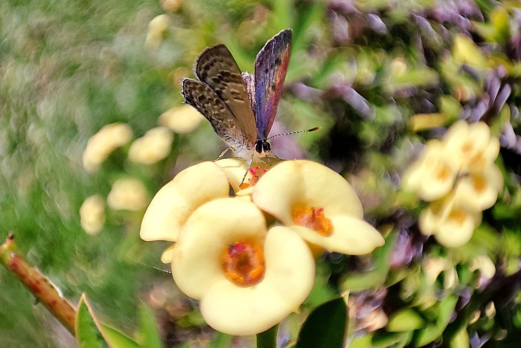 Poetic Pose | Smithsonian Photo Contest | Smithsonian Magazine
