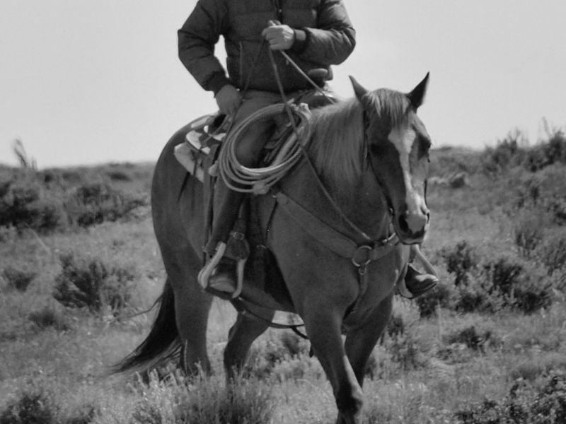 Old Cowboy on the Range | Smithsonian Photo Contest | Smithsonian Magazine