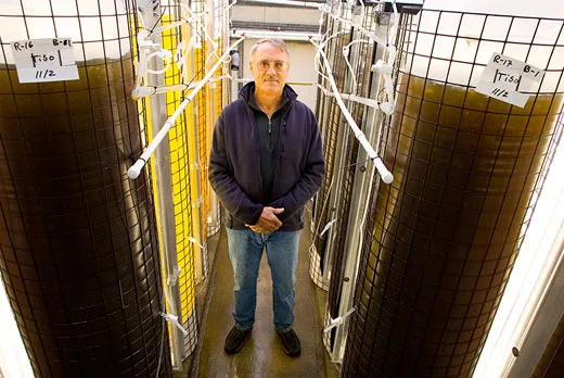 Geoducks: Happy as Clams