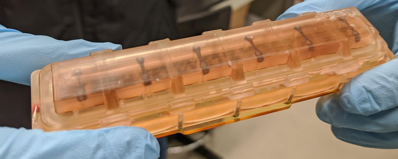 Heart Tissue Shows Signs of Aging After Just One Month in Space, Study ...