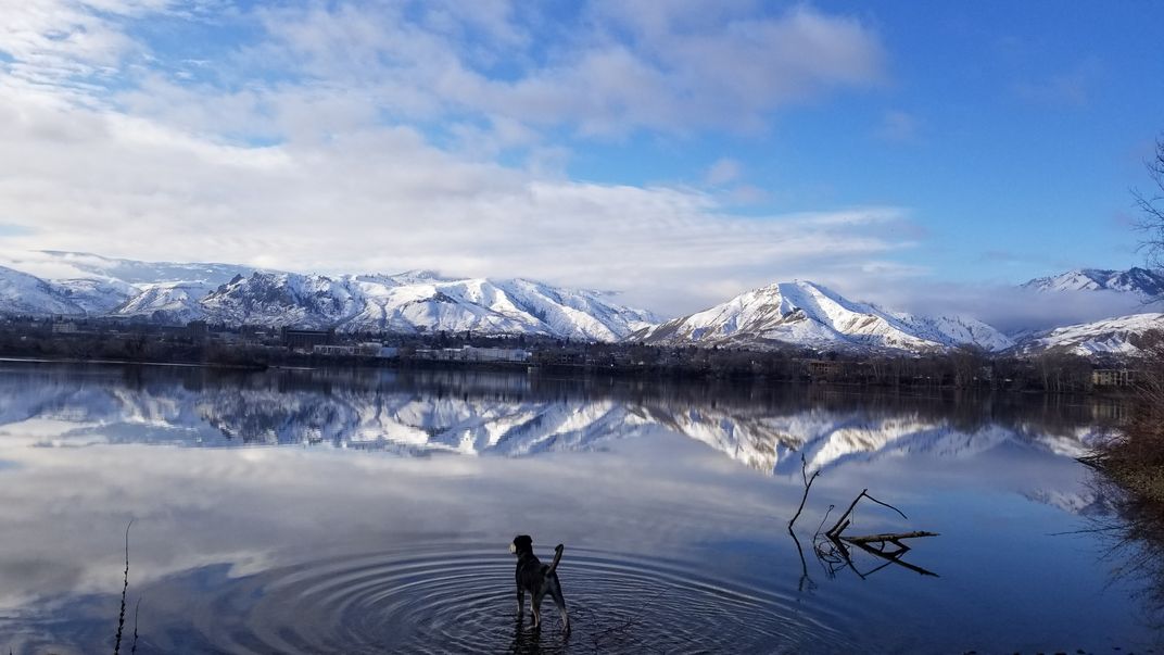 The Columbia River Valley and Larry | Smithsonian Photo Contest ...