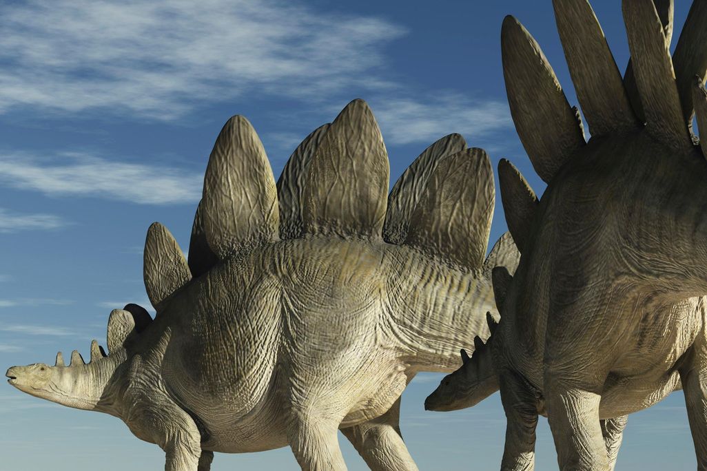 stegosaurus predators