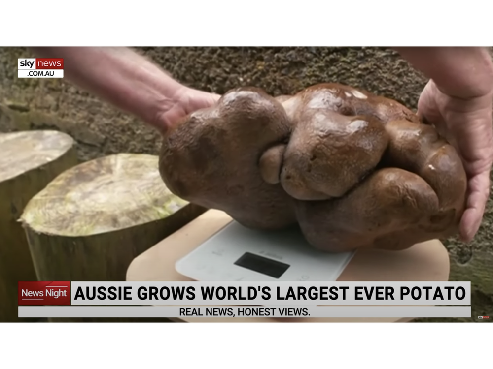 At 17 Pounds, 'Doug' the Ugly Potato Could Be the World’s Biggest Spud